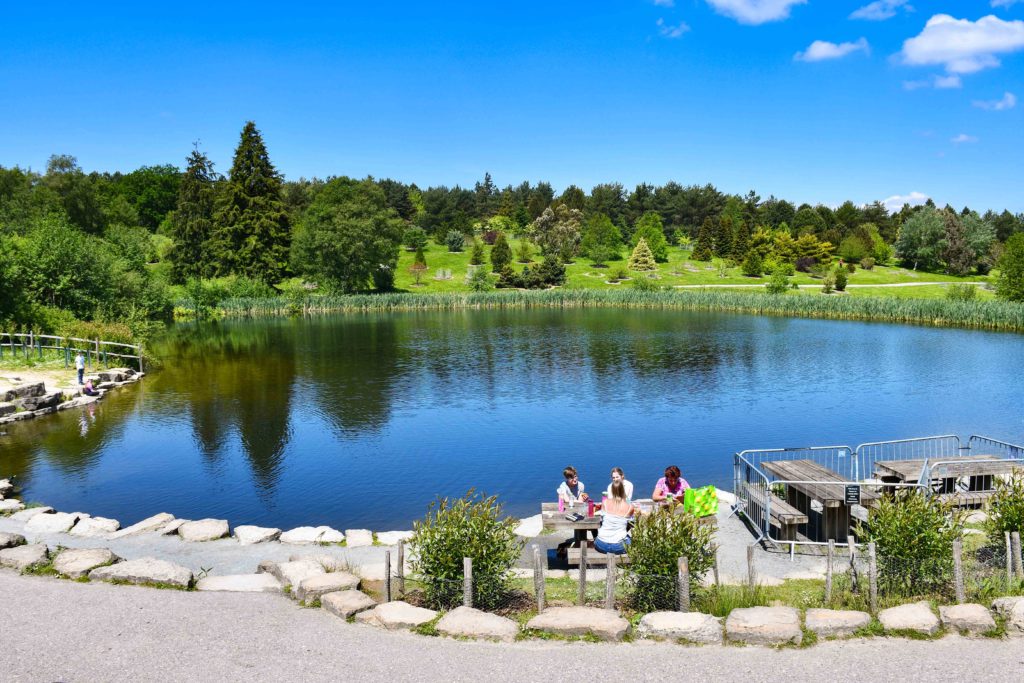 Bedgebury Pinetum: Un site naturel incountournable en Angleterre ...