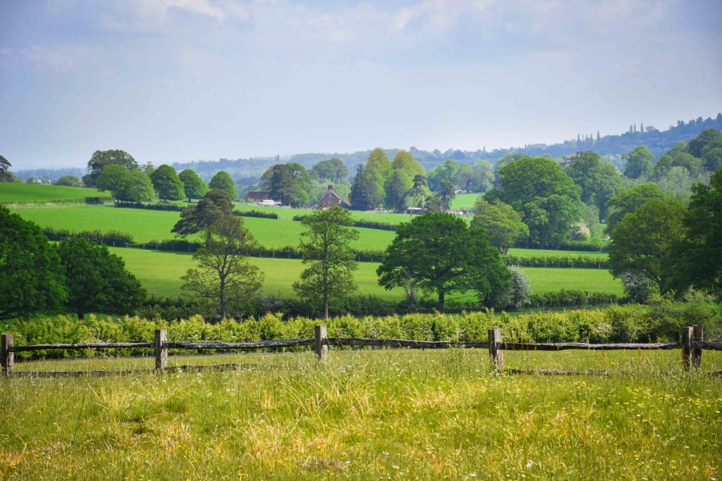 Le bocage anglais : explorez un paysage pittoresque et bucolique ...