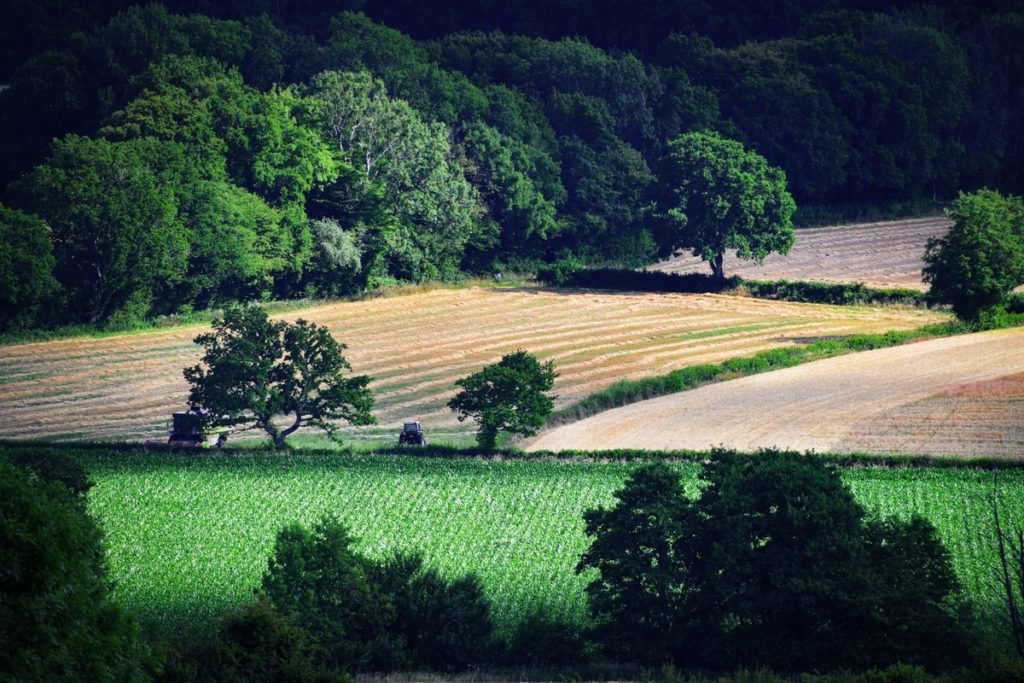 Burwash : Visite guidée de mon village ! - Destination Angleterre