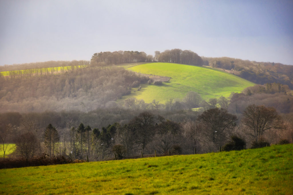 Les South Downs : le Guide de Visite - Destination Angleterre