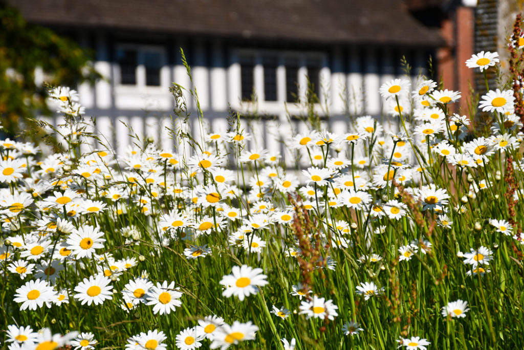 Fletching : un charmant petit village à pans de bois - Destination ...