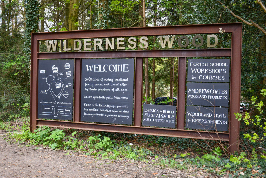 Wilderness Wood : Bluebells et Balade Familiale - Destination Angleterre