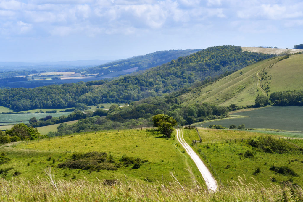 De Harting Down à Beacon Hill : Randonnée en 10 Étapes - Destination ...