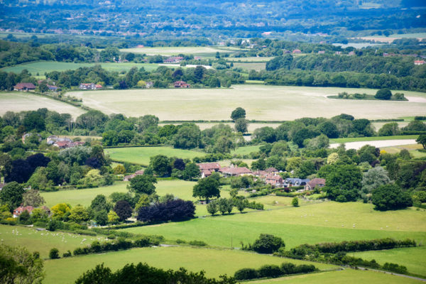 Le bocage anglais : explorez un paysage pittoresque et bucolique ...