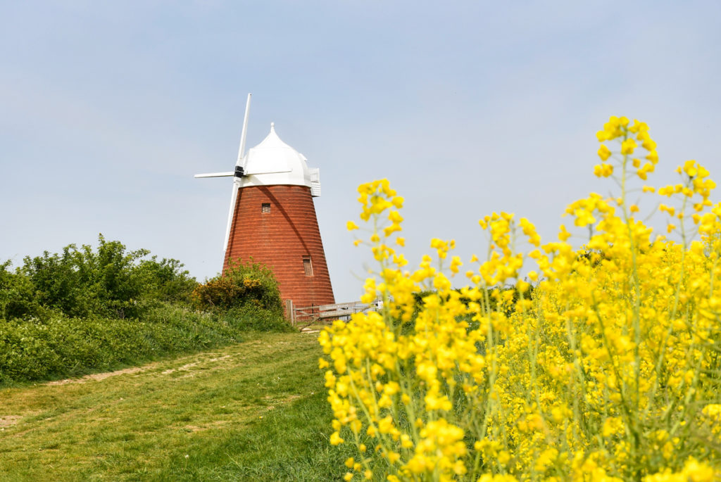 Les South Downs : le Guide de Visite - Destination Angleterre