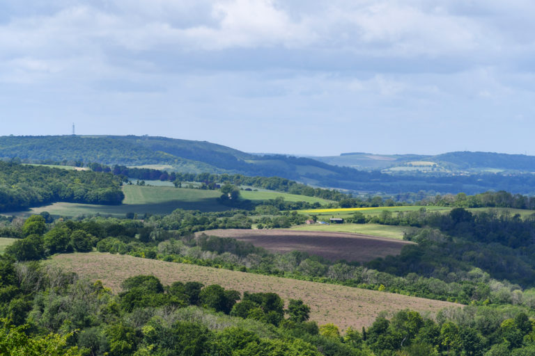 De Harting Down à Beacon Hill : Randonnée en 10 Étapes - Destination ...