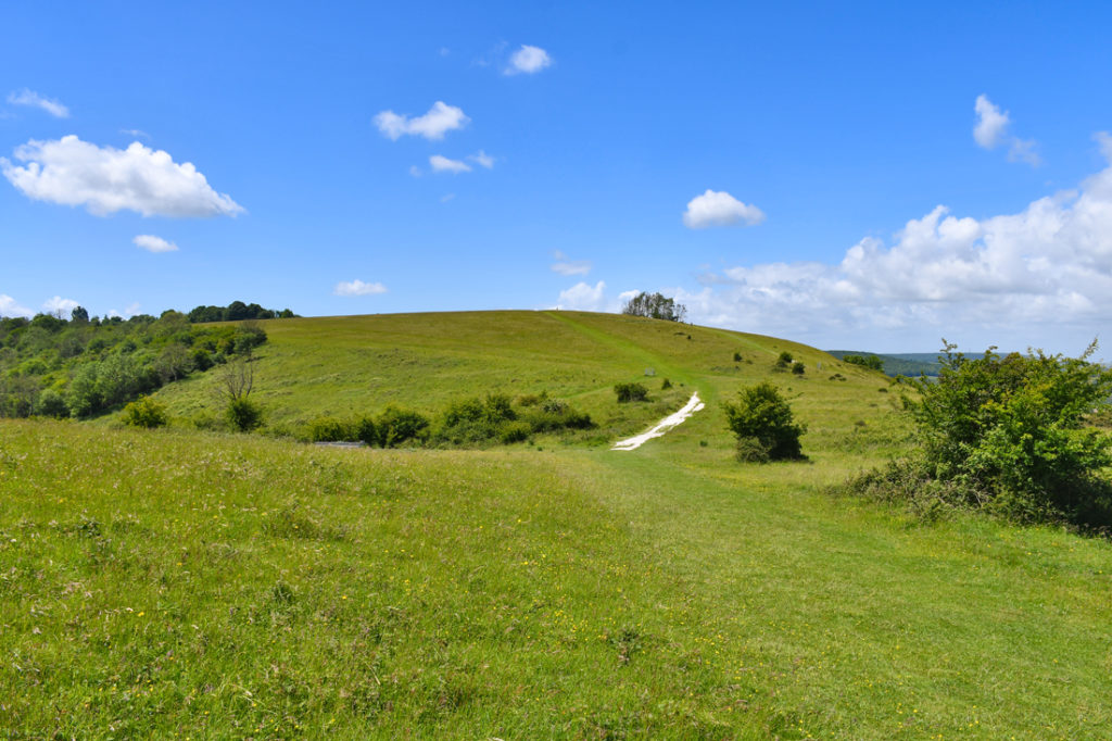 De Harting Down à Beacon Hill : Randonnée en 10 Étapes - Destination ...