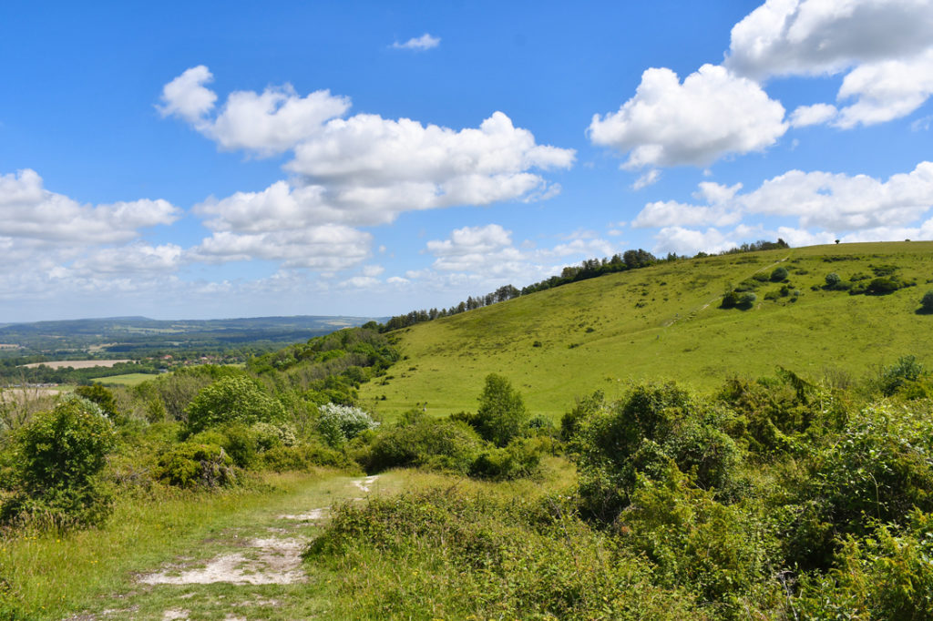 De Harting Down à Beacon Hill : Randonnée en 10 Étapes - Destination ...