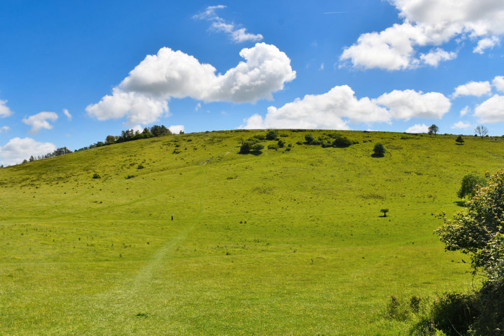 De Harting Down à Beacon Hill : Randonnée en 10 Étapes - Destination ...