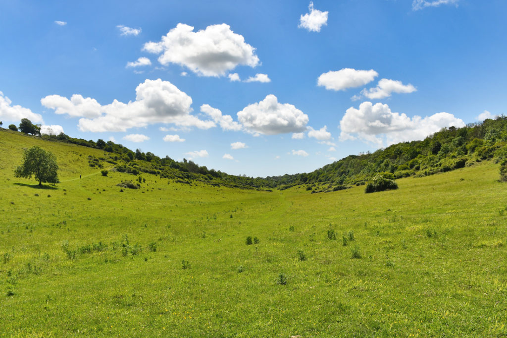 De Harting Down à Beacon Hill : Randonnée en 10 Étapes - Destination ...
