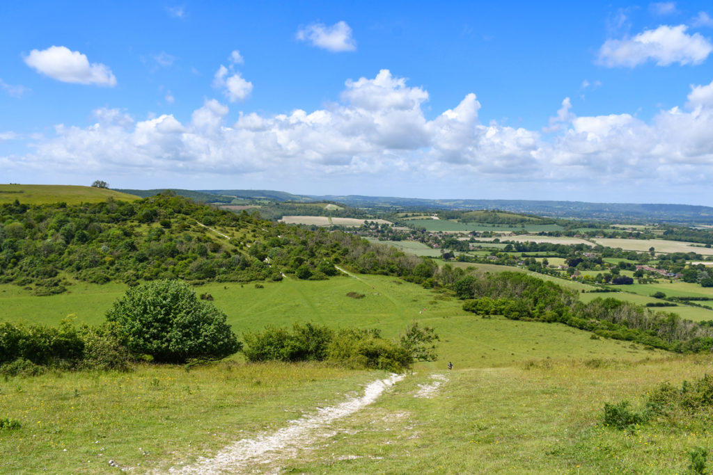 De Harting Down à Beacon Hill : Randonnée en 10 Étapes - Destination ...