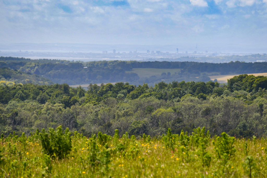 De Harting Down à Beacon Hill : Randonnée en 10 Étapes - Destination ...