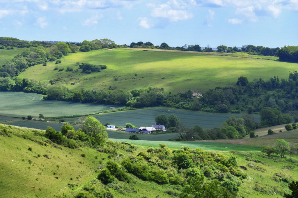De Harting Down à Beacon Hill : Randonnée en 10 Étapes - Destination ...