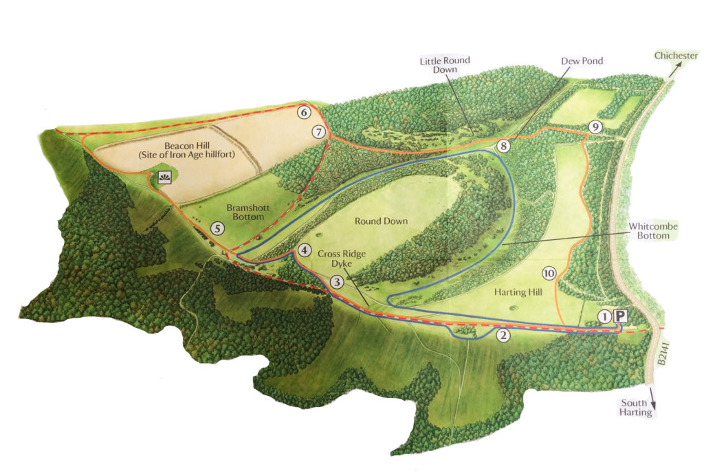 De Harting Down à Beacon Hill : Randonnée en 10 Étapes - Destination ...