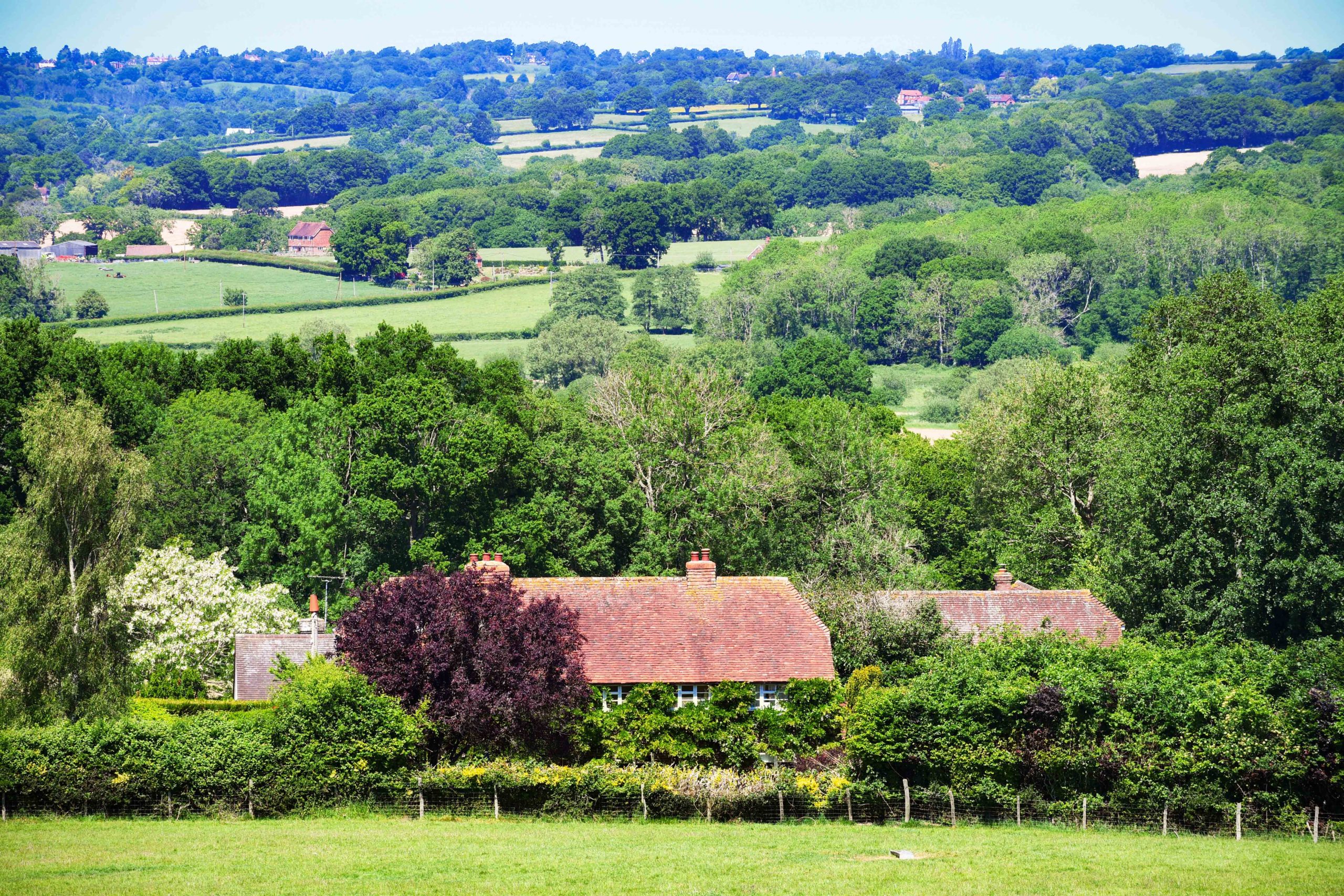 Le bocage anglais : explorez un paysage pittoresque et bucolique ...