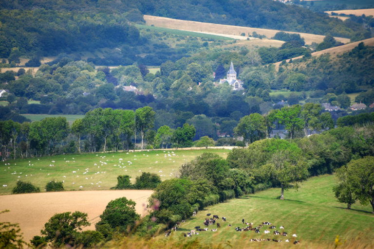 East Meon : La Perle de la Meon Valley - Destination Angleterre
