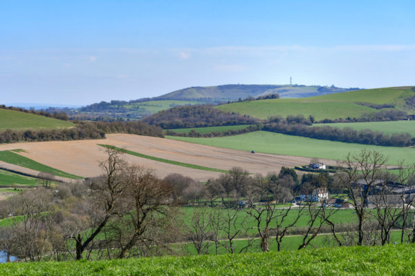 Butser Hill : le point culminant des South Downs - Destination Angleterre